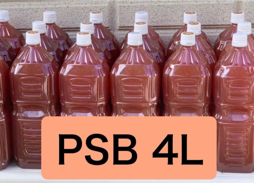 濃厚PSB 光合成細菌 自家培養品 4L - メルカリ