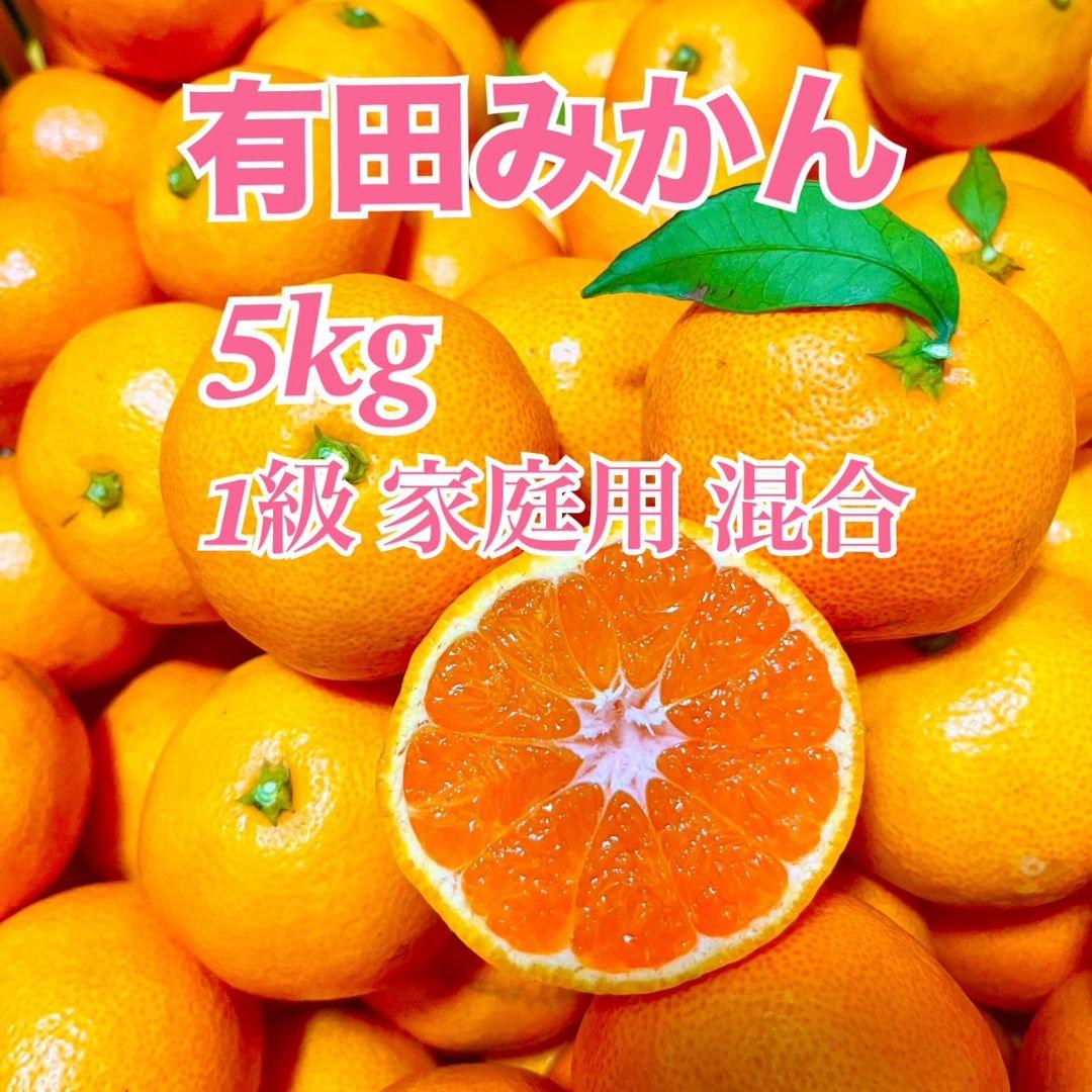 有田みかん 箱込み 5kg 1級 家庭用混合 2S～L - メルカリ