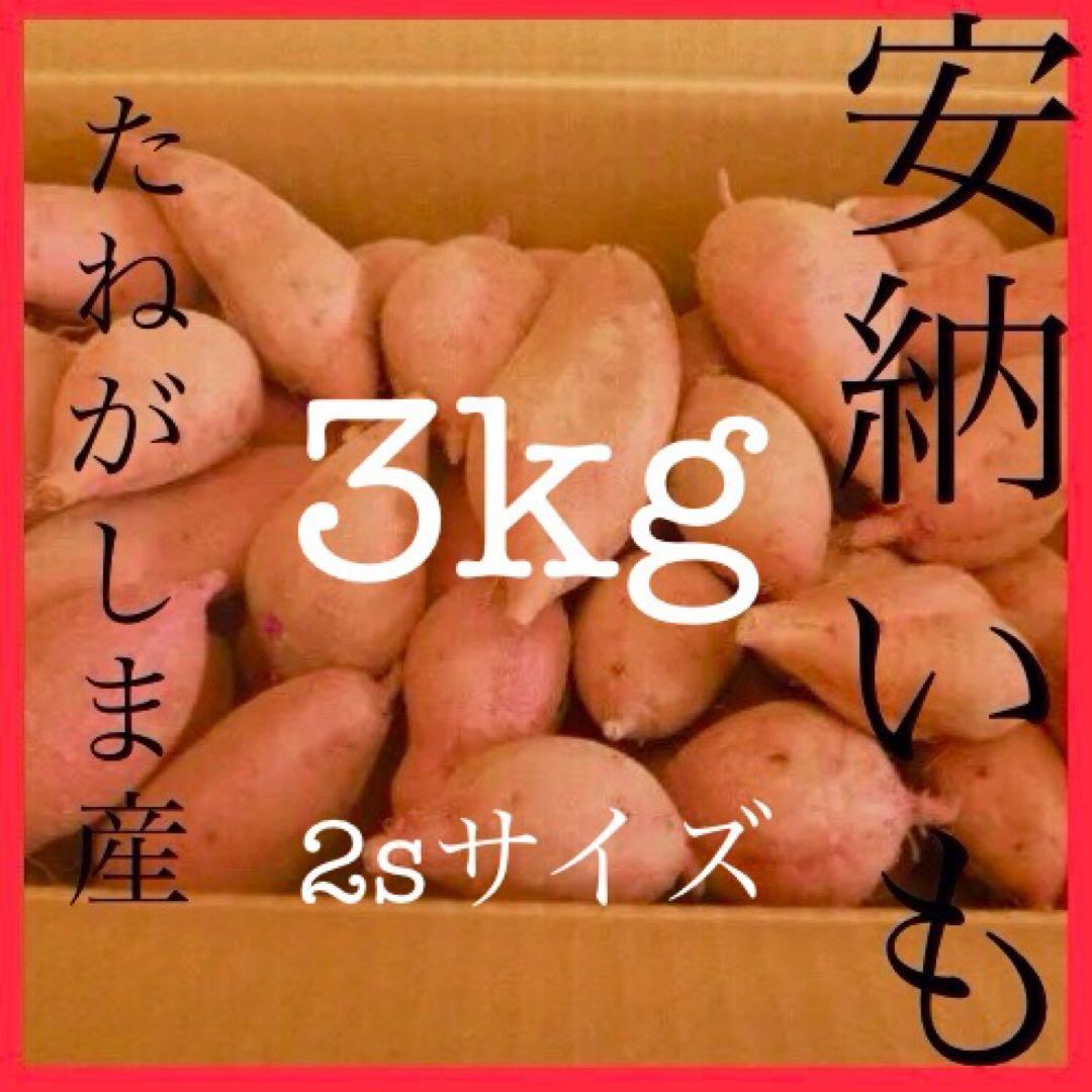 安納いも 3kg 2Sサイズ 種子島産安納芋さつまいも焼き芋におやつにどうぞ#6 - メルカリ