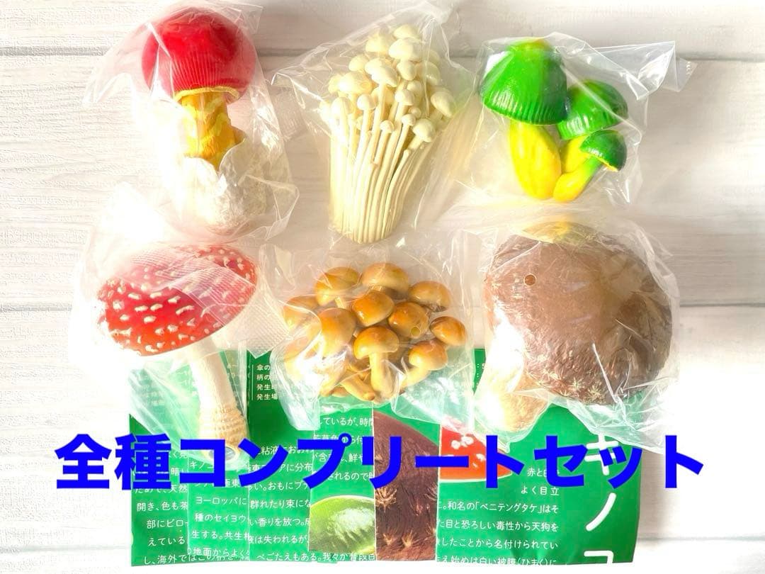 NTC MONO＋ キノコマグネット1 コンプリートセット ガチャ 新品 - メルカリ