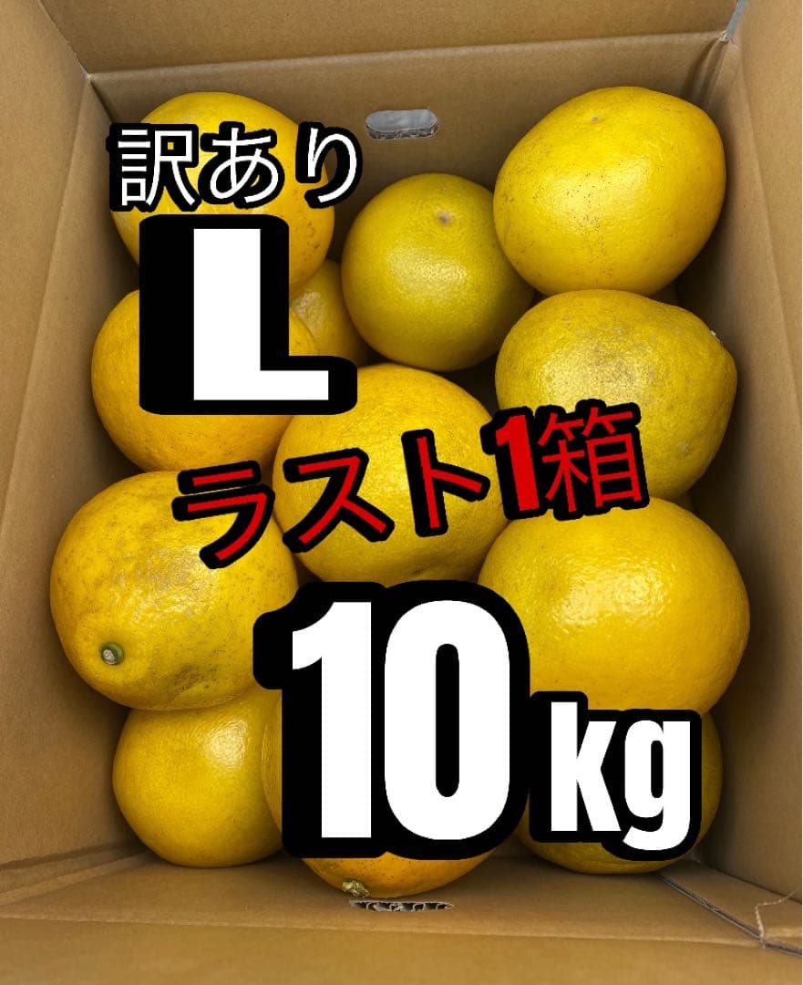 残りわずか 超訳あり 文旦 L/2L 10kg 農家直送 高知県産 土佐文旦 - メルカリ