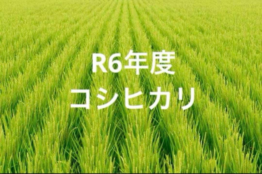 【数量限定】R6年度新米 10kg - メルカリ
