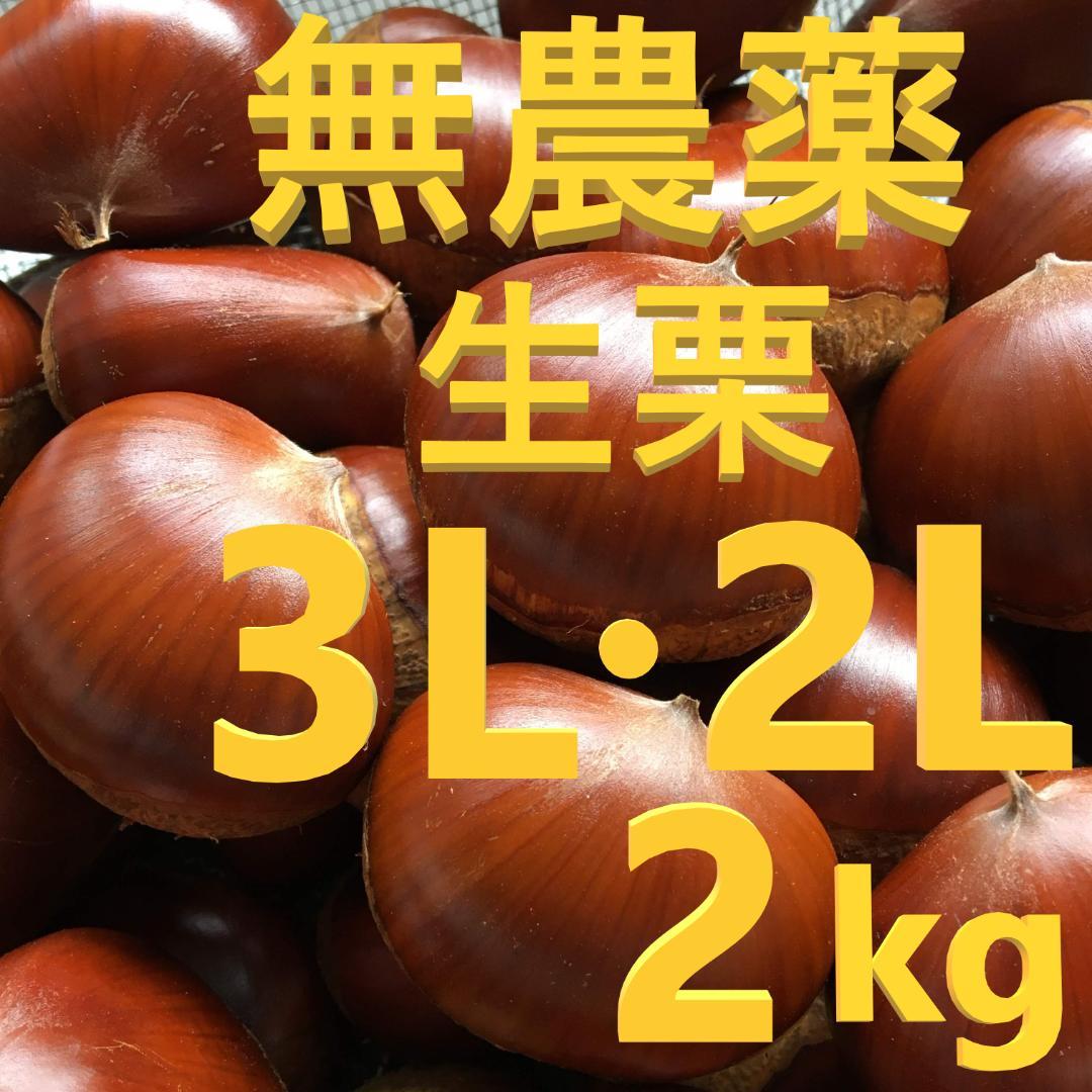 農薬不使用 栗 3L＆2L 大粒 2kg以上 丹沢 朝穫れ 福井県産 - メルカリ