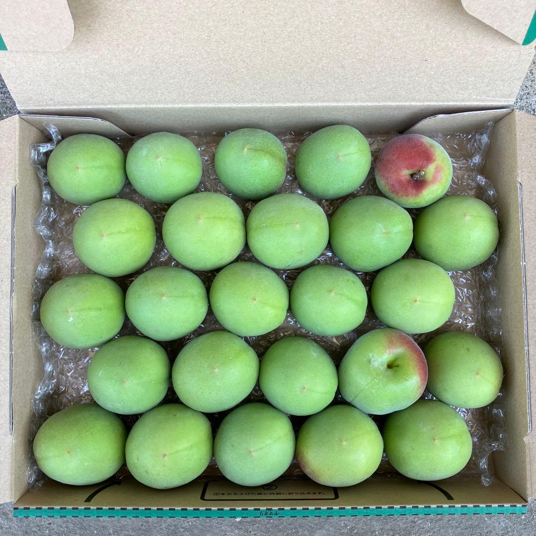 南高梅 1kg 3L・4Lサイズ by メルカリ