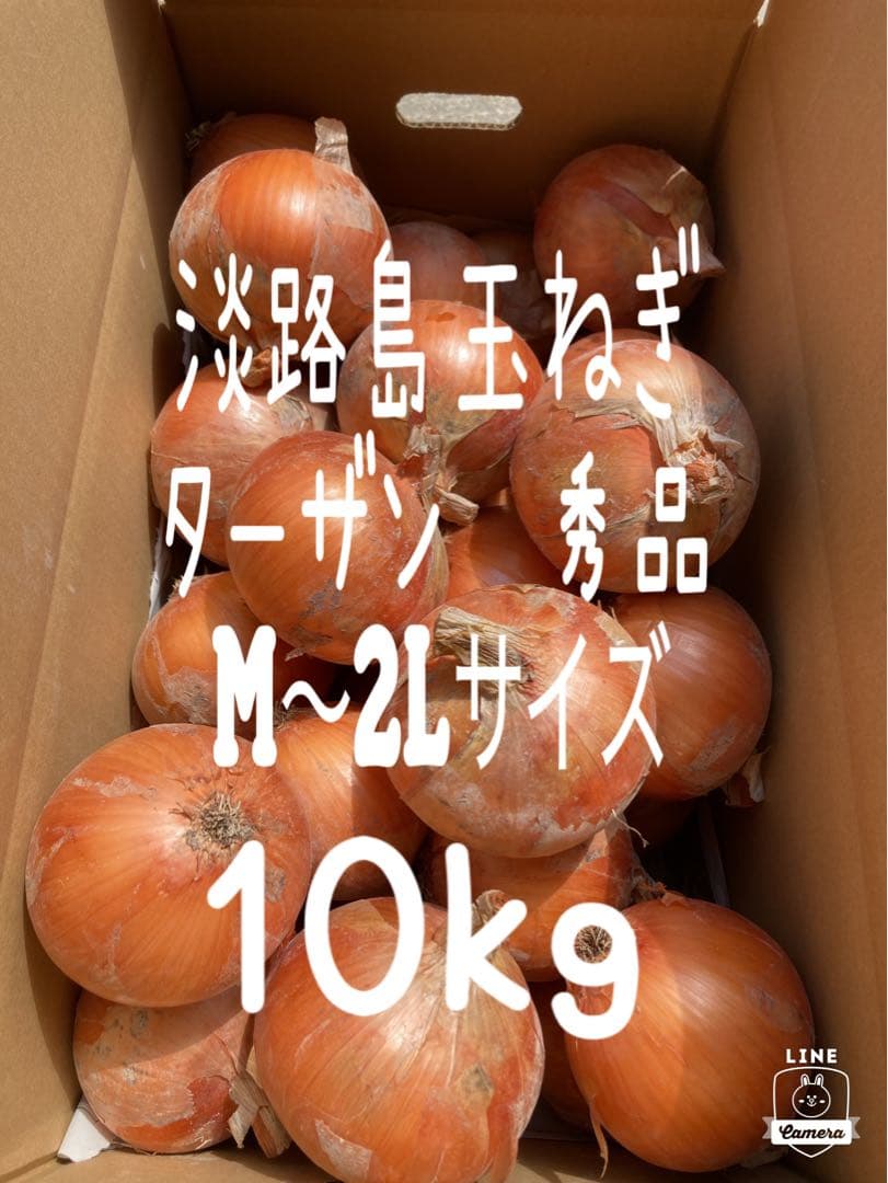 淡路島玉ねぎ ターザン M〜2L 秀品 10kg by メルカリ