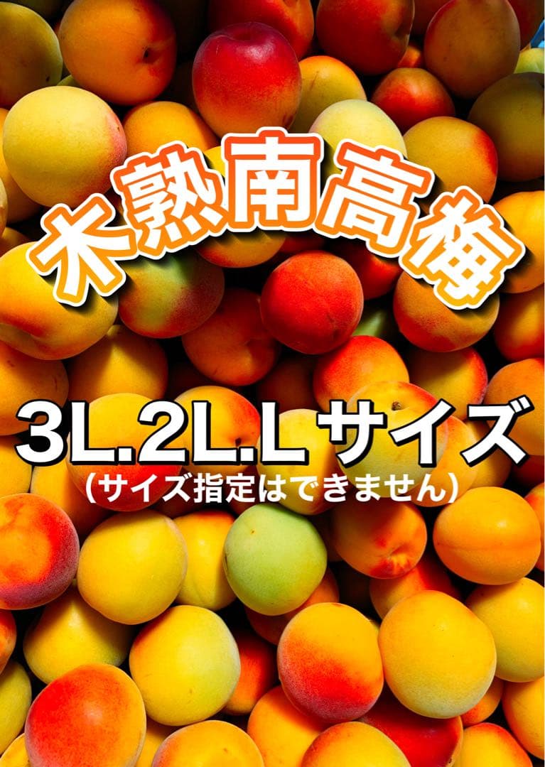 木熟南高‼️和歌山県産 完熟南高梅 3L.2L.Lサイズ5kg みかんキング - メルカリ