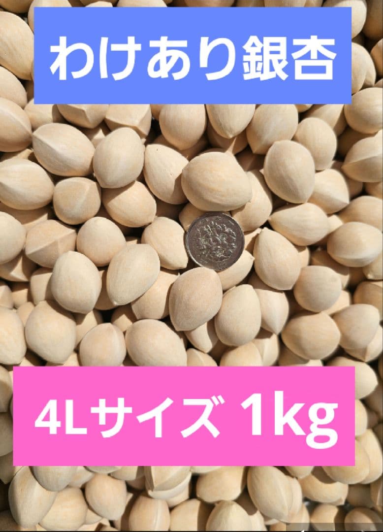 【訳あり】2025年産 銀杏 量り売り 4L 1kg【産地直送】 - メルカリ
