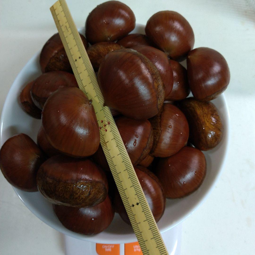 ぽってり半円形の栗 栗 生栗 2L 900g 銀寄 c - メルカリ
