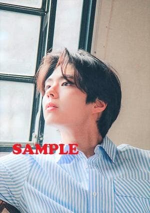 パクボゴム／75／A4サイズ写真／パク・ボゴムkrair - メルカリ