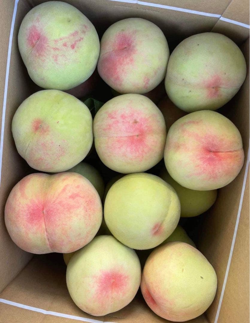 硬い桃 3kg (1kg=3-5個) - メルカリ