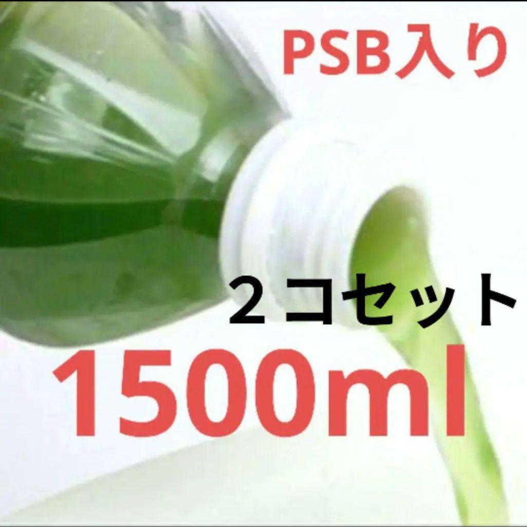 グリーンウォーター1.5L PSB入り2つセット！ - メルカリ