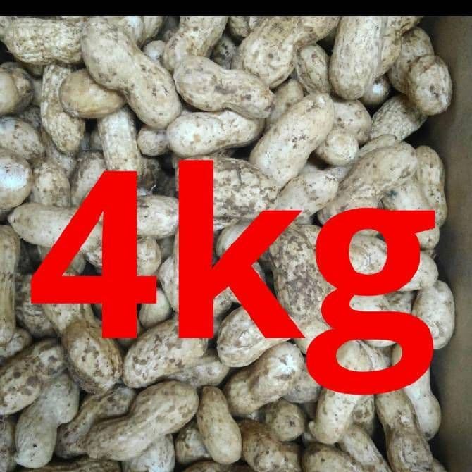 ②819 生落花生 おおまさり 4kg 訳有 訳あり 千葉県産 by メルカリ