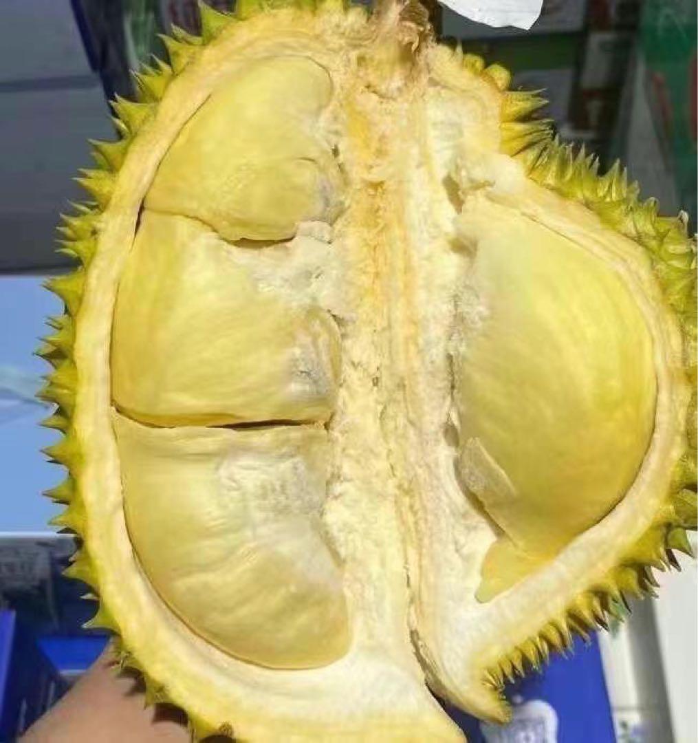 新入荷！！送料無料！！タイ産 泰国新鲜榴莲 金枕榴蓮 1.0kg～1.3kg/玉 - メルカリ