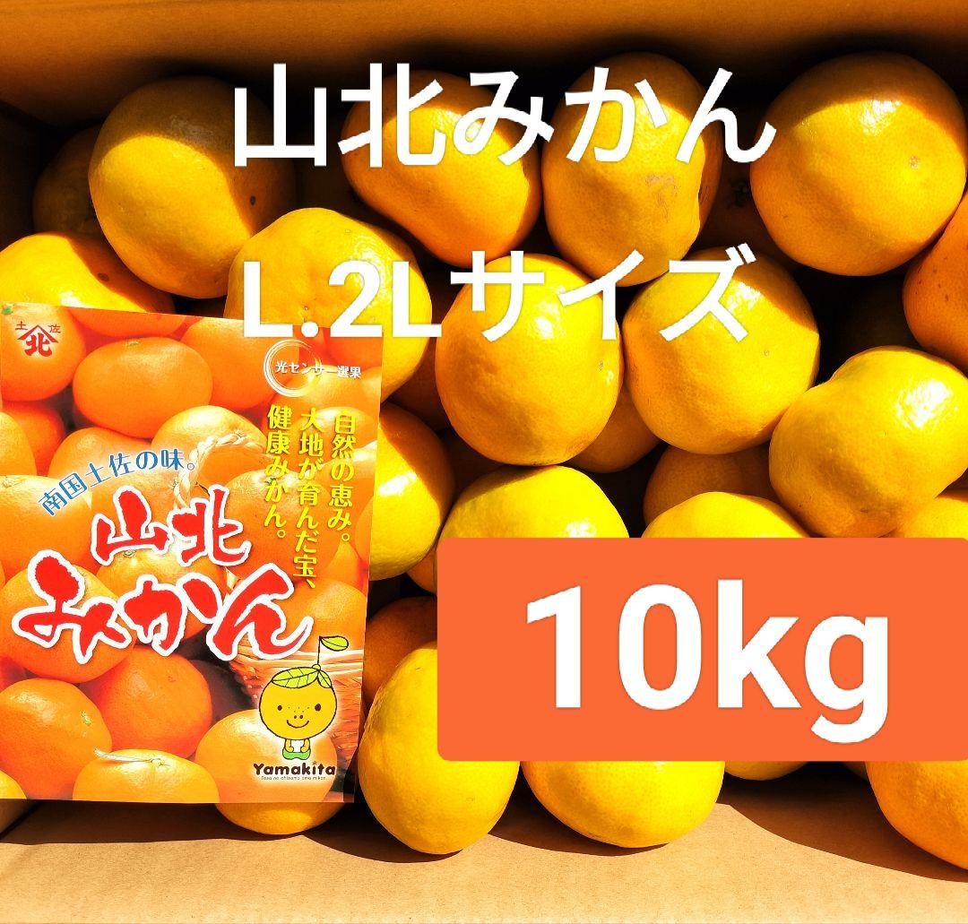 ほ*ま様 高知産 約10kg 露地山北みかん L，2Lサイズ 秀品 北海道沖縄発 - メルカリ