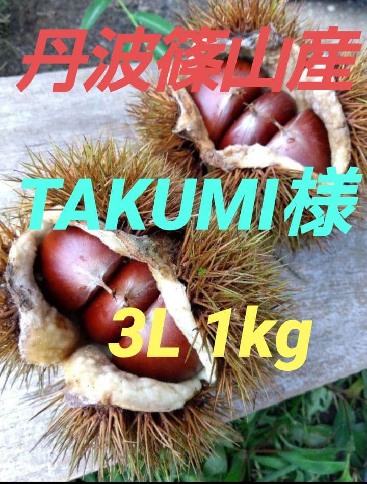 TAKUMI様 丹波篠山産 丹波栗 3L 1kg by メルカリ