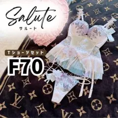 【2025年最新】salute サルート 83グループ F70の人気アイテム - メルカリ