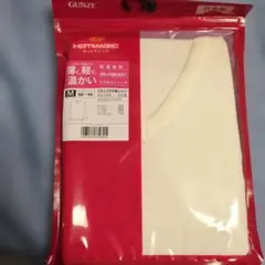 【2025年最新】GUNZE 9分袖 長袖 Vネックの人気アイテム - メルカリ