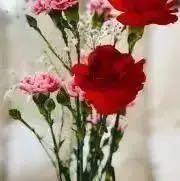 ryanzo@プロフ必読 の出品した商品 - メルカリ