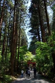 uk44 の出品した商品 - メルカリ