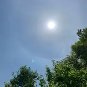 セリエ の出品した商品 - メルカリ